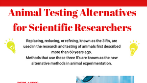 Animal Testing Alternatives Infographic by Carla Tarsinian on Prezi Design