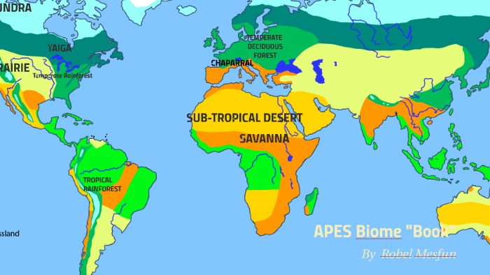 APES Biome "Book" by rebel jordan on Prezi