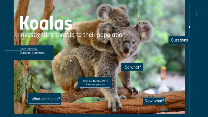 Koalas: Investigating threats to their population by on Prezi