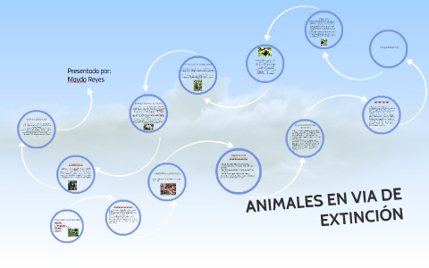 ANIMALES EN VIA DE EXTINCION by mayda reyes garzon on Prezi