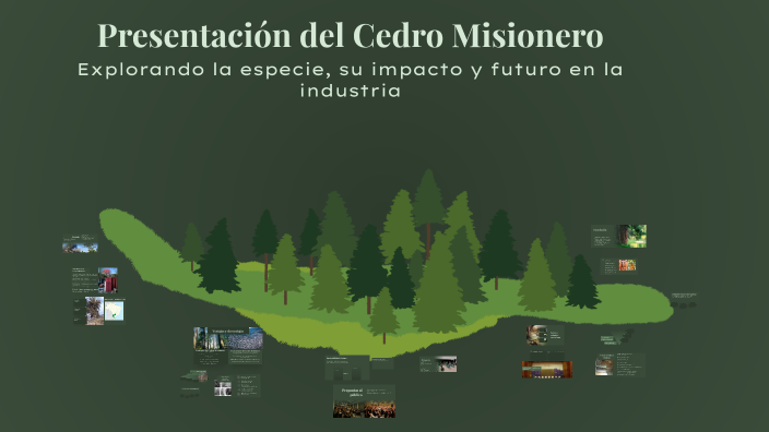 Presentación del Cedro Misionero by alejo matias galvan on Prezi