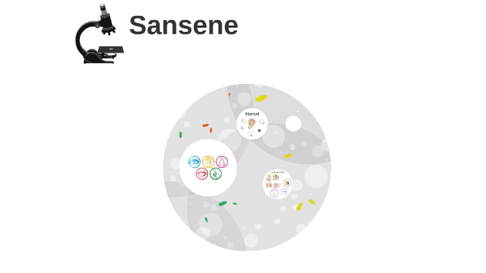 Sansene by hedda torsmyr on Prezi