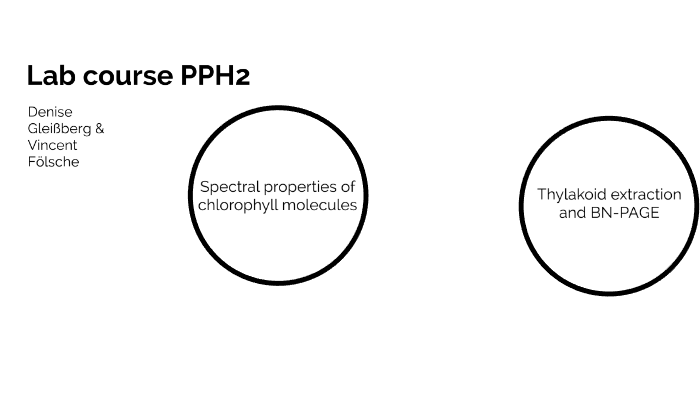 PPH2 by on Prezi