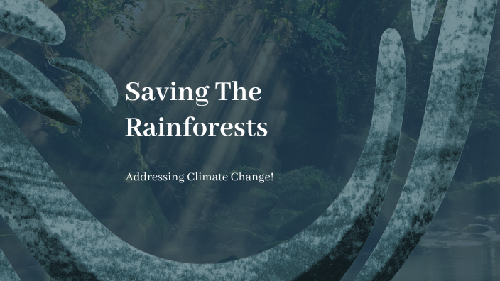 Saving The Rainforests by Jackson Osting on Prezi
