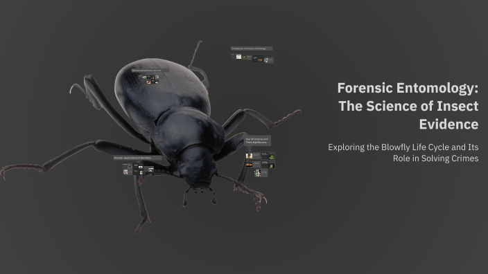 Forensic Entomology: The Science of Insect Evidence by SHAKEYRI ARROYO ...