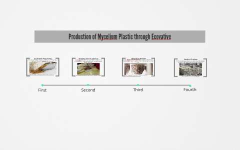 Production of Mycelium Plastic by Mia (Emily) Comstock on Prezi