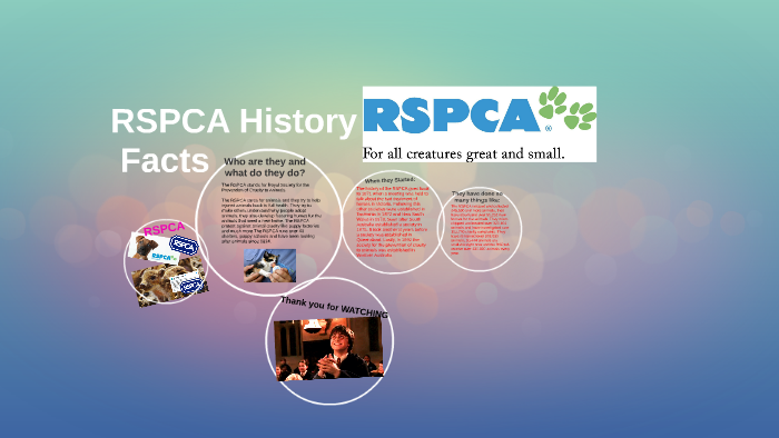 RSPCA History Facts by Eva Brasoveanu on Prezi