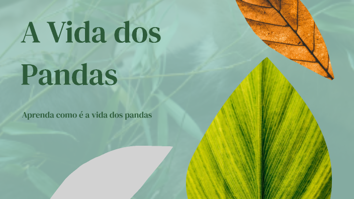 A Vida dos Pandas by Ramón Soares on Prezi