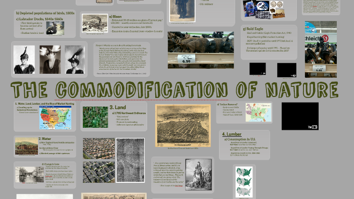 The Commodification of Nature: Water, Land, Timber, & Game Hunting by ...