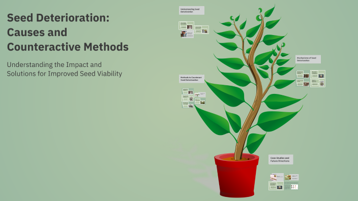 Seed Deterioration: Causes and Counteractive Methods by K Umesh2002 on ...