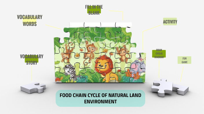 FOOD CHAIN CYCLE OF NATURAL ENVIRONMENT by on Prezi