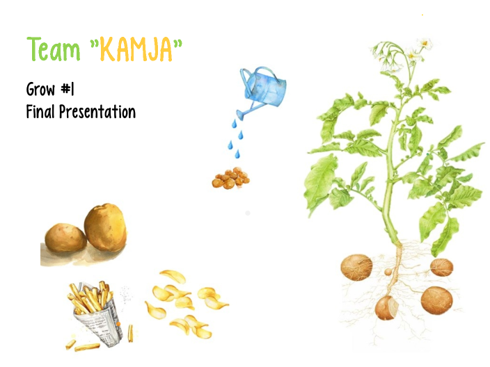 Team "KAMJA" Presentation by 성호 이 on Prezi