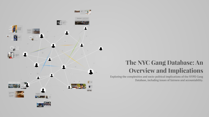 The NYC Gang Database: An Overview and Implications by Daniel Dallemand ...