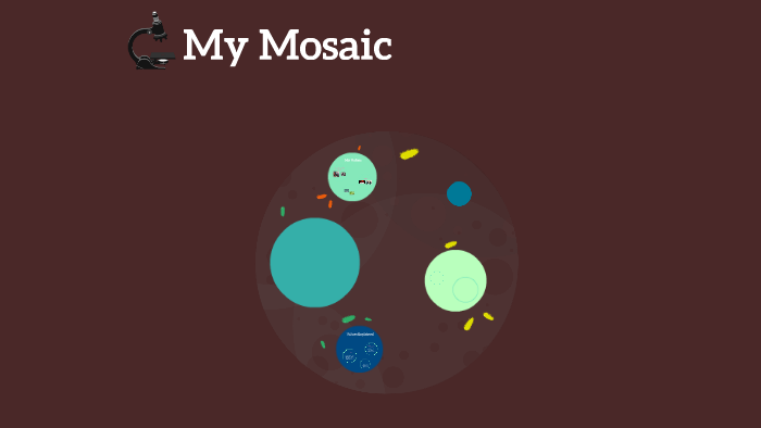 My Legacy Mosaic by Stephen Kaus on Prezi