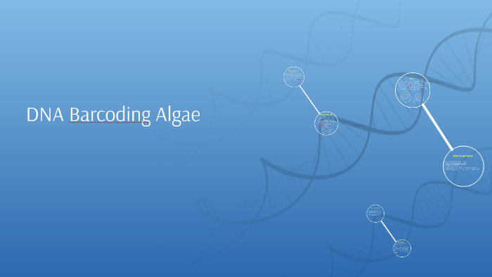 DNA Barcoding Algae by Anya Vincent on Prezi