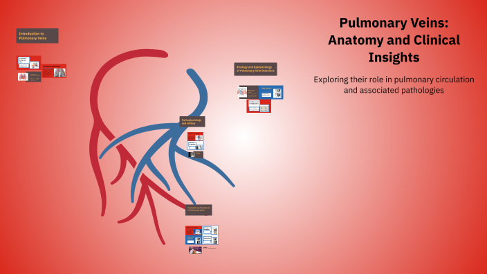 Pulmonary Veins: Anatomy and Clinical Insights by Travis Bianucci on Prezi
