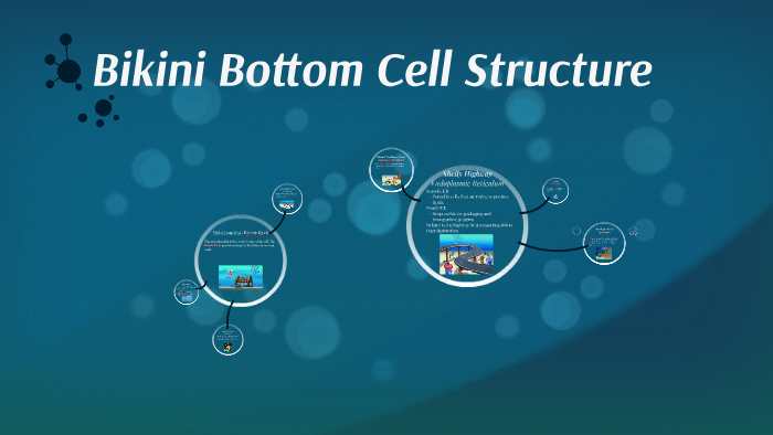 SpongeBob Cell Structure by Jack Palmer on Prezi