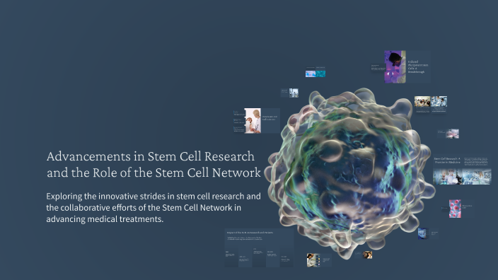 Advancements in Stem Cell Research and the Role of the Stem Cell ...