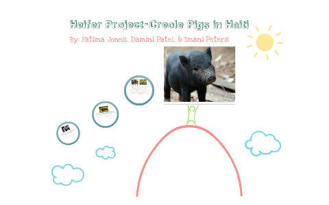 HAITI PIGS-HEIFER PROJECT by Imani Peters on Prezi