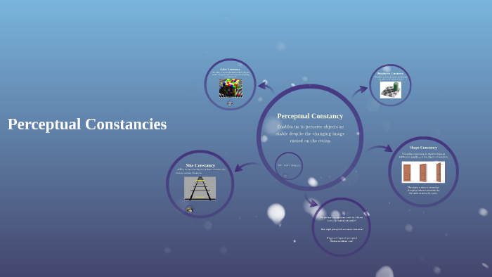 Perceptual Constancy by May Lim on Prezi