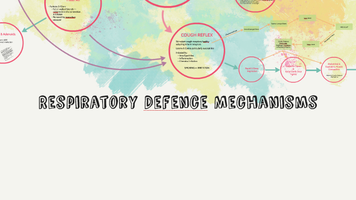 Respiratory Defence Mechanisms by Victoria McGuire on Prezi
