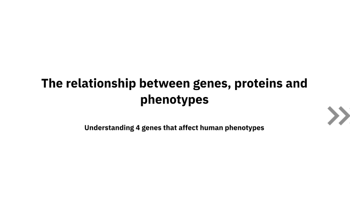 Relationship of gene, proteins and phenotypes by Manini V. on Prezi
