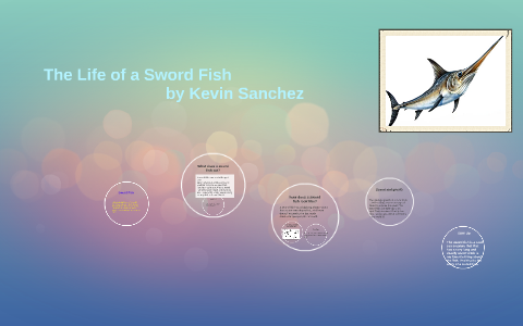 The Life of a SwordFish by john cena on Prezi