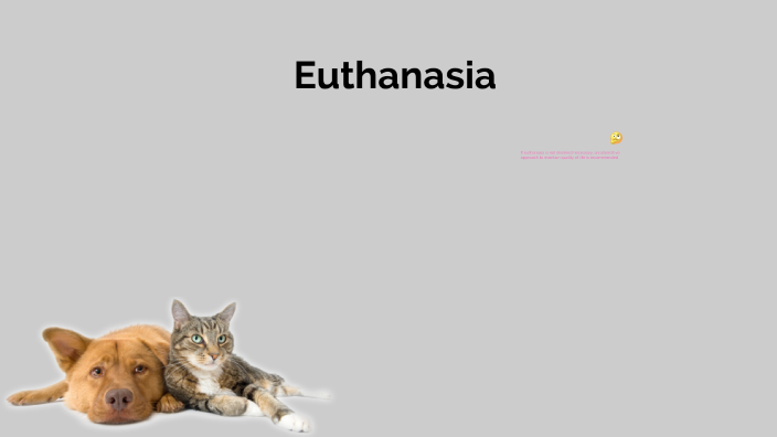 Eutanasia By Inês Gomes On Prezi