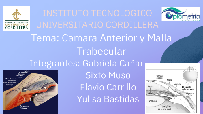 Càmara Anterior Y Malla Trabecular by yulisa bastidas on Prezi