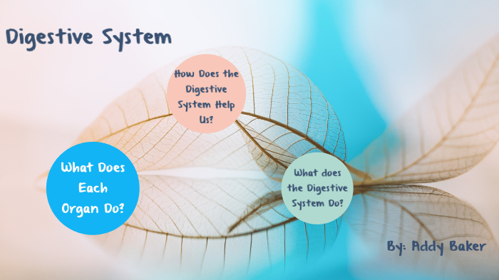 Digestive System by ADDISON BAKER on Prezi