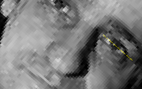 to catch a serial killer by richard luciani on Prezi