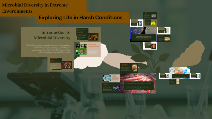 Microbial Diversity in Extreme Environments by Khushaali Lochun on Prezi