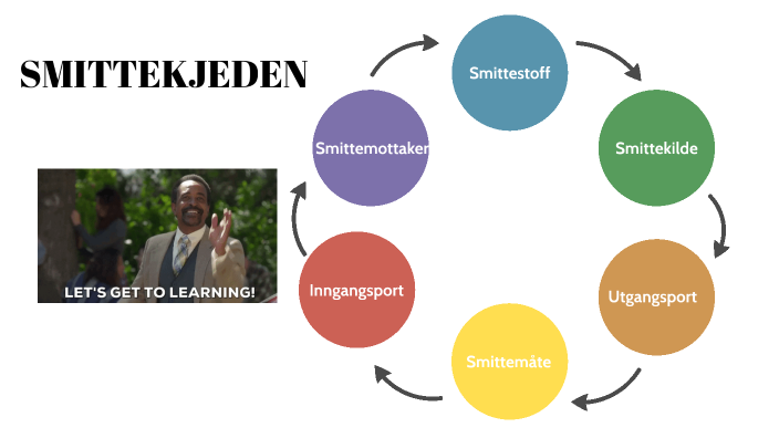 Smittekjeden by Stine Grønnslett Røstad on Prezi