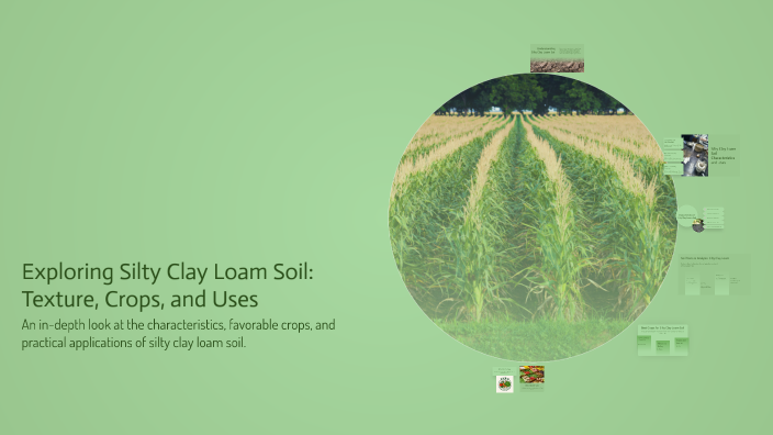 Exploring Silty Clay Loam Soil: Texture, Crops, and Uses by Eva Oltmans ...