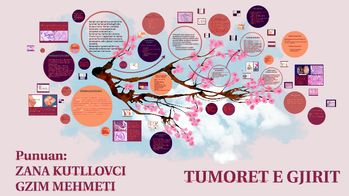 Tumoret e gjirit by Zana Kutllovci on Prezi