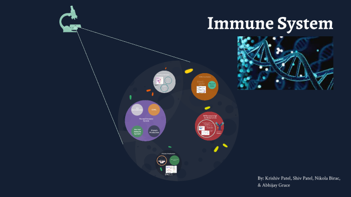 Immune System Model by Krishiv Patel on Prezi