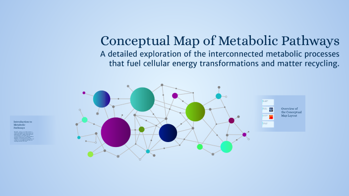 Conceptual Map of Metabolic Pathways by Lina K on Prezi