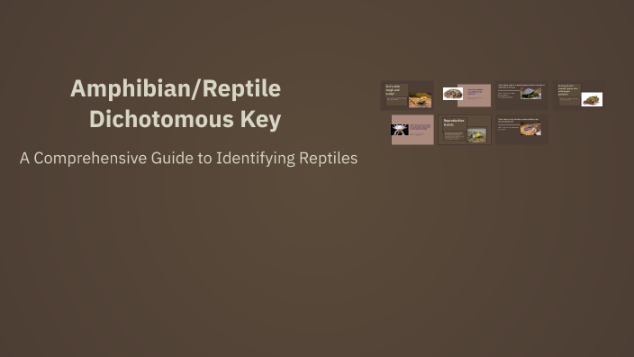Amphibian / Reptile Dichotomous Key by Richard Brubaker on Prezi