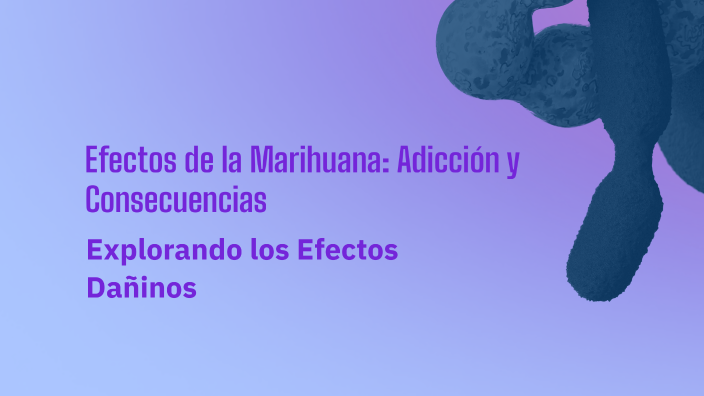 Efectos De La Marihuana Adicción Y Consecuencias By Cristian Cas On Prezi