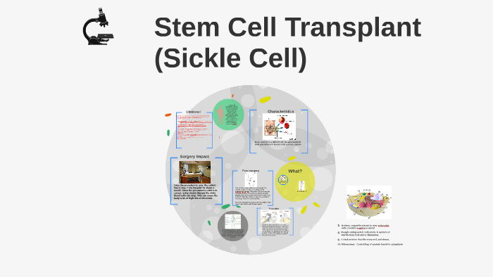 Stem Cell Transplant (Sickle Cell) by A MK on Prezi