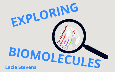 Biomolecule Project by Lacie Stevens on Prezi