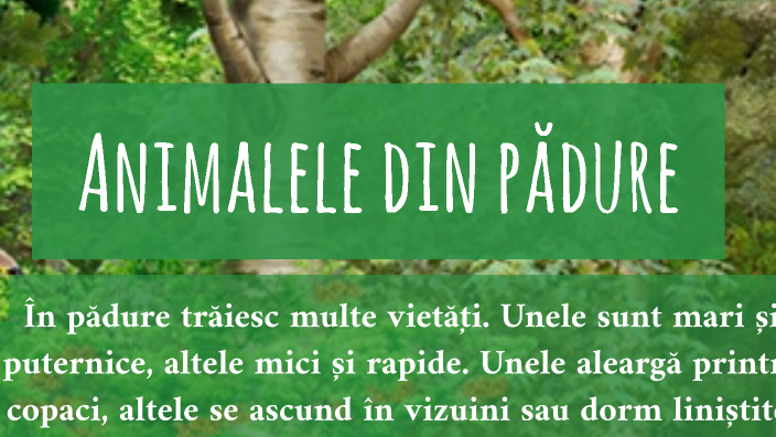 by Adelina Muntean on Prezi