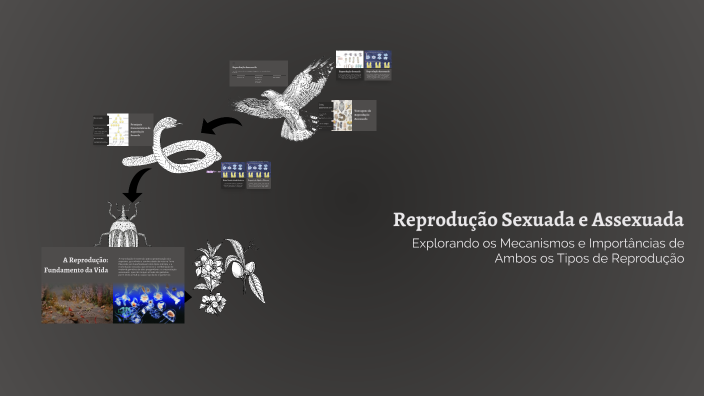 Reprodução Sexuada e Assexuada by Lekzin's jr on Prezi