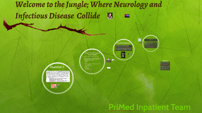 PriMed Presentation by Robert Siska on Prezi