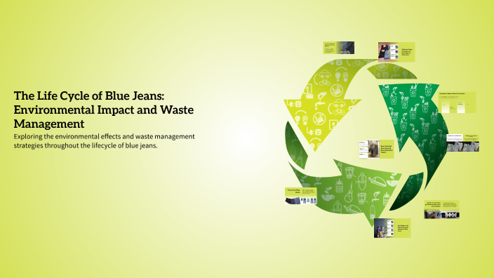 The Life Cycle of Blue Jeans: Environmental Impact and Waste Management ...