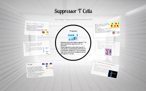Suppressor T cells by Miriam Ramirez