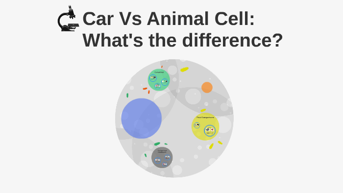 Car Vs Animal Cell: What's the difference? by Aric Hamilton on Prezi