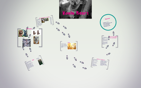 Koala Bears by unique homar on Prezi