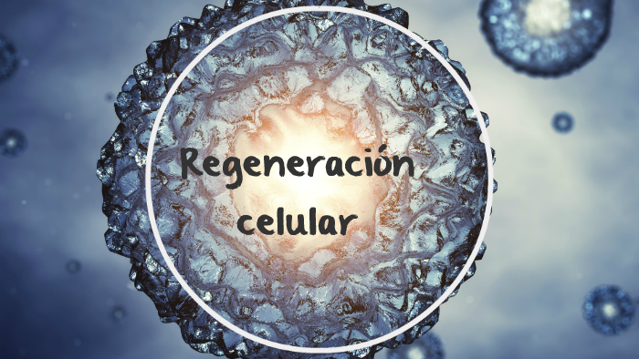 Regeneración celular by michele delgado on Prezi