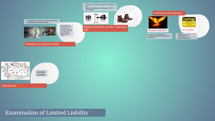 Examination of Limited Liability by Thomas Boothroyd on Prezi
